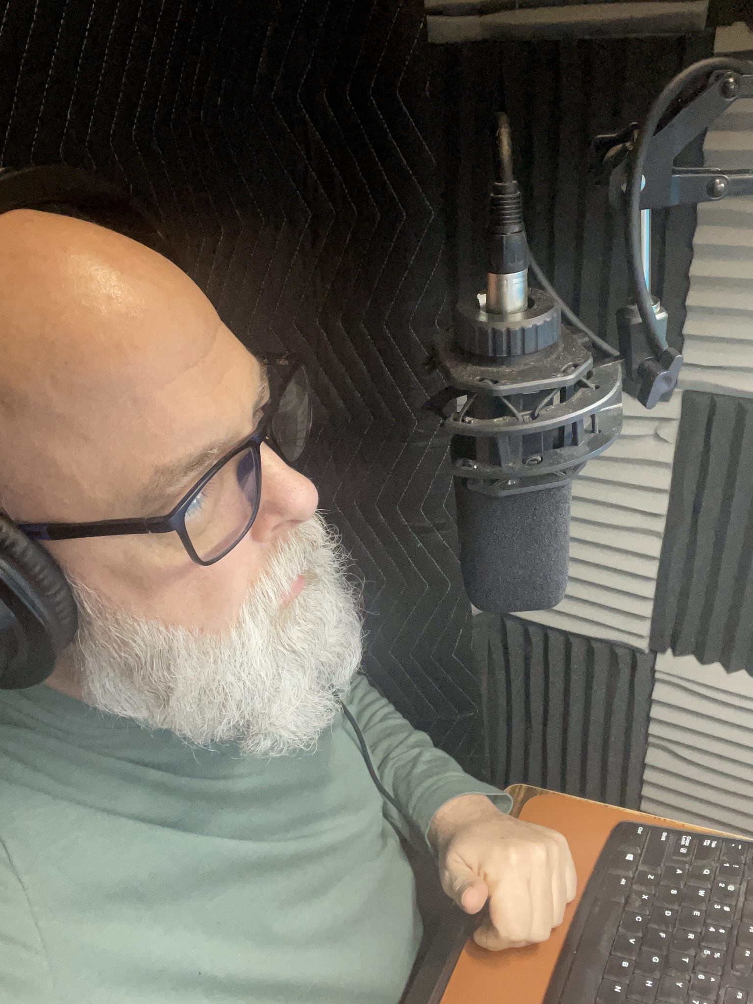 Voice Actor & Voice Over Specialist | Voices of Don
